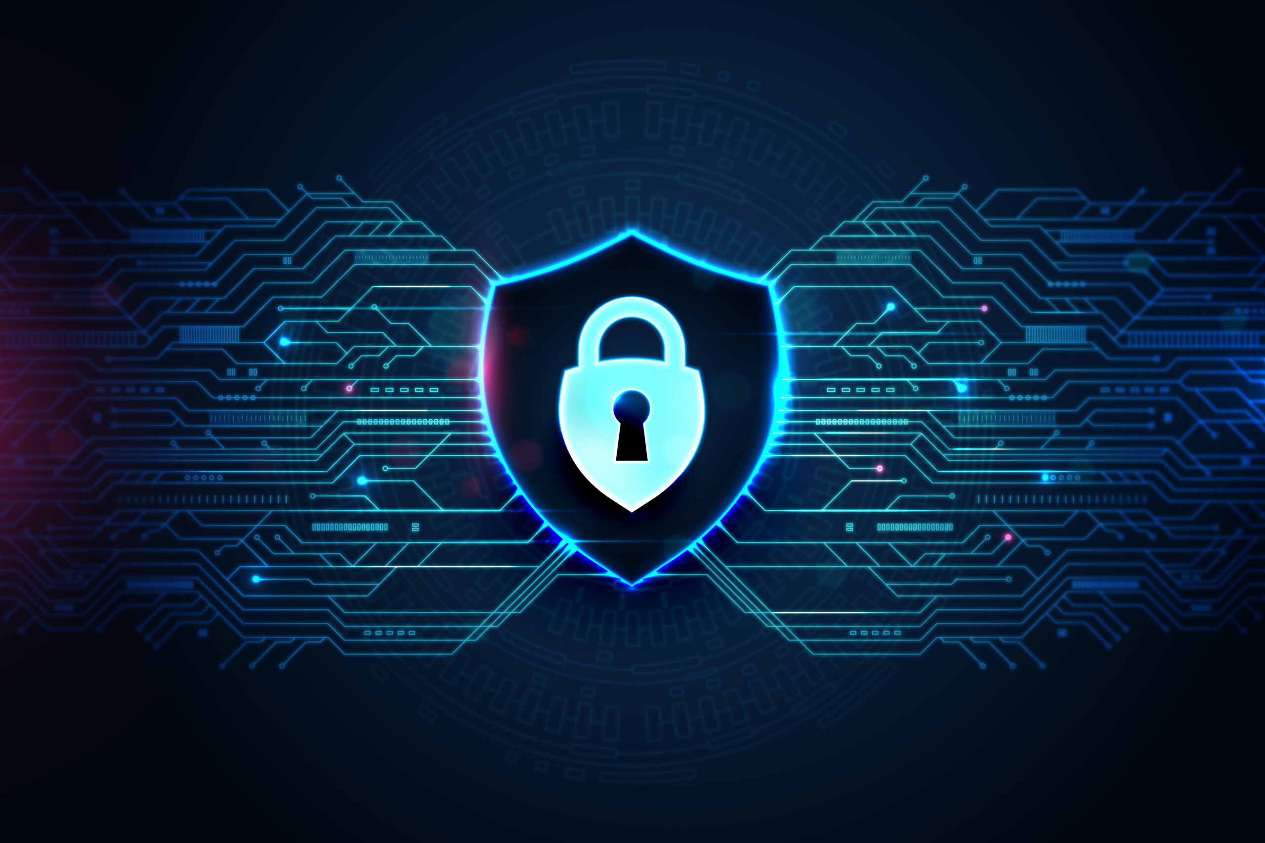 Differentiating Vydia's Roles and Their Permissions - Vydia | Vydia